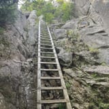 Crane Mountain Loop Hike, New York - 1,258 Reviews, Map | AllTrails