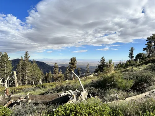 10 Best Trails and Hikes in Azusa | AllTrails