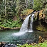 Iron Creek Falls Trail, Washington - 123 Reviews, Map | AllTrails