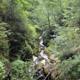 Bushkill Falls Red Trail, Pennsylvania - 606 Reviews, Map | AllTrails