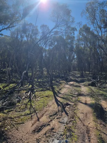 Best Hikes and Trails in Avon Valley National Park | AllTrails