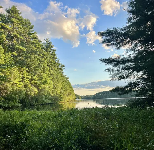 Best Hikes and Trails in Massasoit State Park | AllTrails