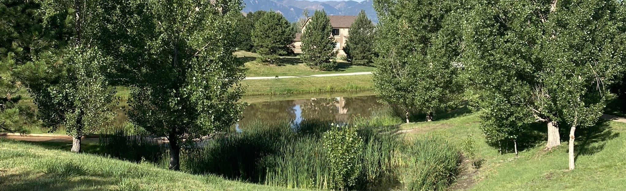 La Foret Trail, Colorado - 212 Reviews, Map | AllTrails