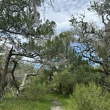 Guana, Timucuan, and South Point Loop Trail Loop, Florida - 673 Reviews ...