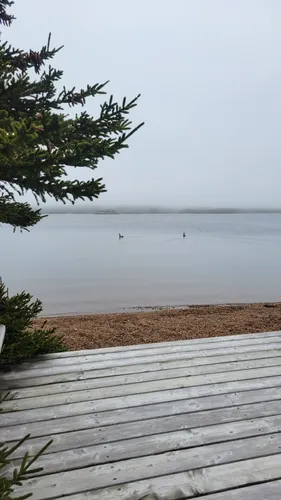 2023 Best Forest Trails in Frenchman's Cove | AllTrails