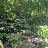 Devil's Path to the Jimmy Dolan Notch Overlook and Twin Mountain Summit ...