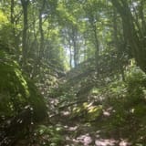Devil's Path to the Jimmy Dolan Notch Overlook and Twin Mountain Summit ...