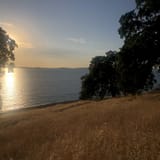 Mormon Island Browns Ravine Trail, California - 383 Reviews, Map ...