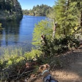 Lake Lagunitas, California - 645 Reviews, Map | AllTrails