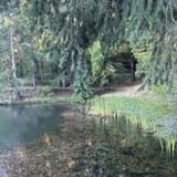 Lake Lagunitas, California - 645 Reviews, Map | AllTrails