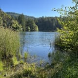 Lake Lagunitas, California - 645 Reviews, Map | AllTrails