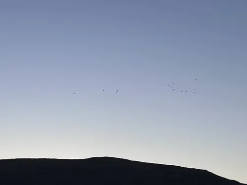 Best Hikes and Trails in Western Riverside County Regional Conservation ...