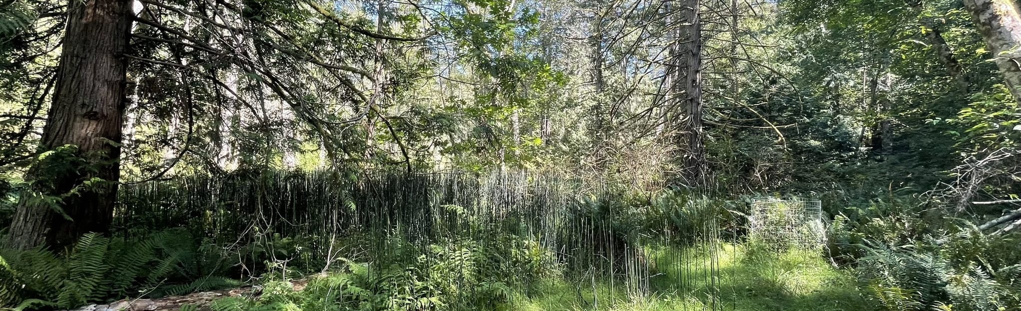 Enchanted Forest Trail, British Columbia, Canada - 52 Reviews, Map ...