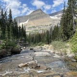 Piegan Pass Trail, Montana - 330 Reviews, Map | AllTrails