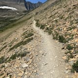 Piegan Pass Trail, Montana - 330 Reviews, Map | AllTrails