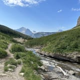 Piegan Pass Trail, Montana - 330 Reviews, Map | AllTrails