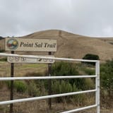 Point Sal Overlook, California - 655 Reviews, Map | AllTrails