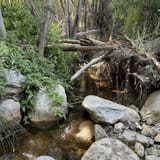 Packsaddle Cave Trail, California - 502 Reviews, Map | AllTrails