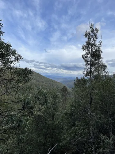 Best Hikes and Trails in Russell Ridge Conservation Area | AllTrails