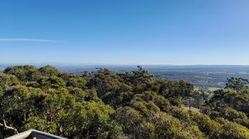 Best Hikes and Trails in Mount Buninyong Scenic Reserve | AllTrails