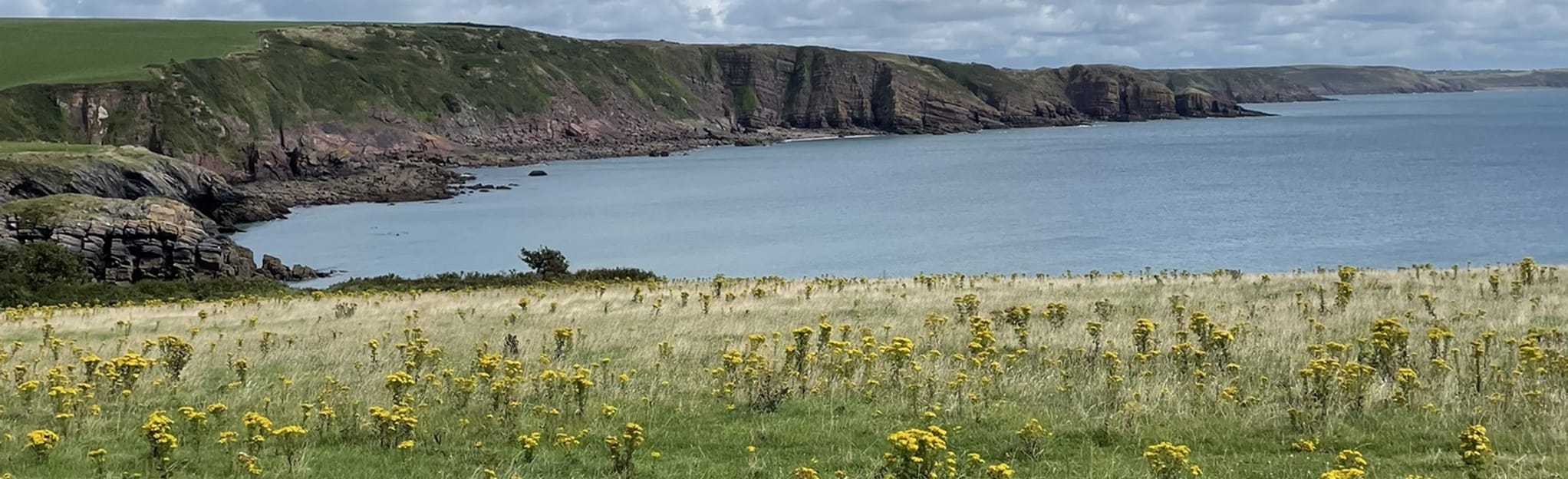 Stackpole Quay and Bosherston Lakes, Pembrokeshire, Wales - 386 Reviews ...