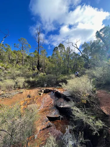 Best Hikes and Trails in Darling Range | AllTrails