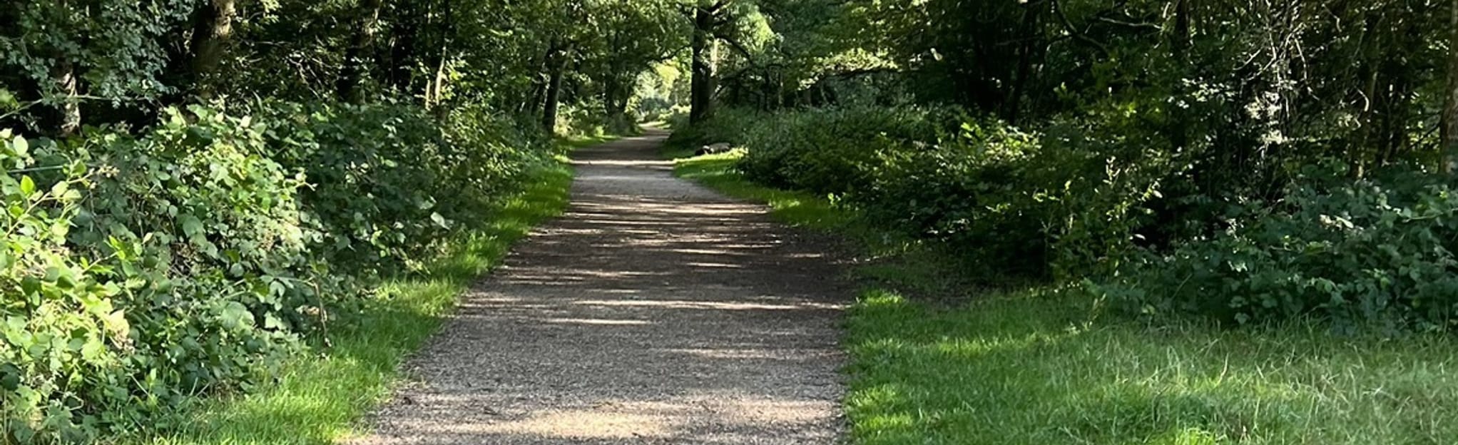 Coombe Hill Woodland Walk Circular: 341 Fotos - Buckinghamshire ...