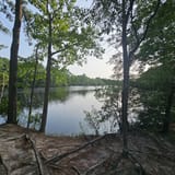 Cape Henry Trail, Virginia - 553 Reviews, Map | AllTrails