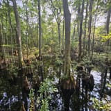 Cape Henry Trail, Virginia - 553 Reviews, Map | AllTrails