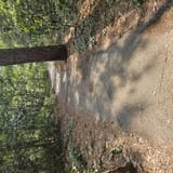 Cape Henry Trail, Virginia - 553 Reviews, Map | AllTrails