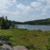 Crane Mountain Loop Hike, New York - 1,258 Reviews, Map | AllTrails