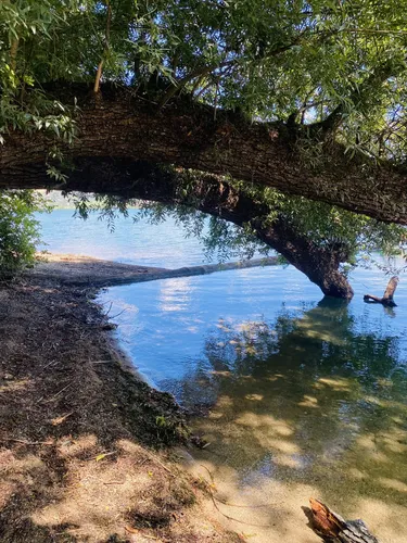 Best Hikes and Trails in Baldegg | AllTrails