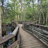 Cape Henry Trail, Virginia - 580 Reviews, Map | AllTrails
