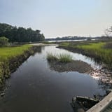 Cape Henry Trail, Virginia - 553 Reviews, Map | AllTrails