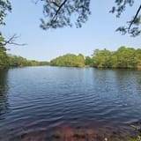 Cape Henry Trail, Virginia - 553 Reviews, Map | AllTrails