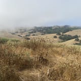 Timberhill Park Trail, California - 228 Reviews, Map | AllTrails