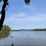 Chamberlain-Reynolds Memorial Forest Loop, New Hampshire - 830 Reviews ...