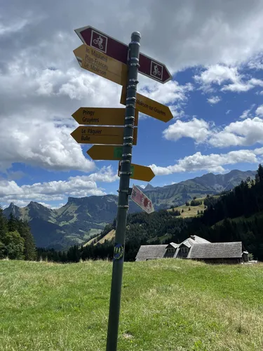 2023 Best Wild Flowers Trails In La Forêt De Bouleyres Alltrails