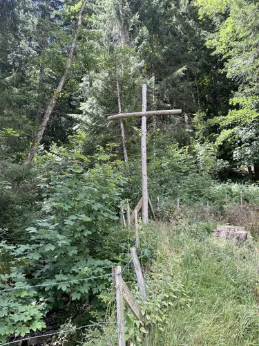 2023 Best Wild Flowers Trails In La Forêt De Bouleyres Alltrails