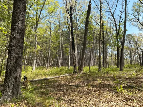 Best Hikes and Trails in Meramec State Park | AllTrails