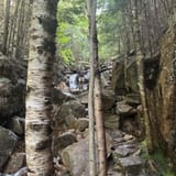 Gorge Path Trail, Maine - 740 Reviews, Map | AllTrails