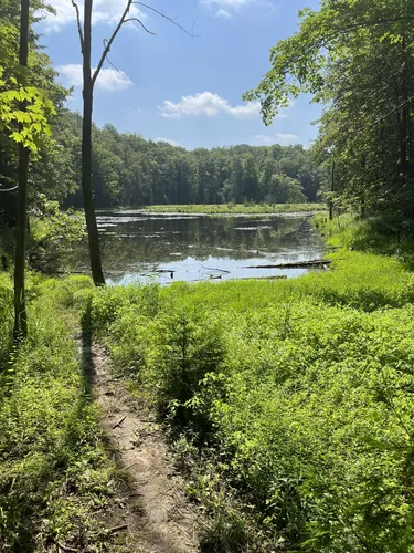 Best Lake Trails in West Grey | AllTrails