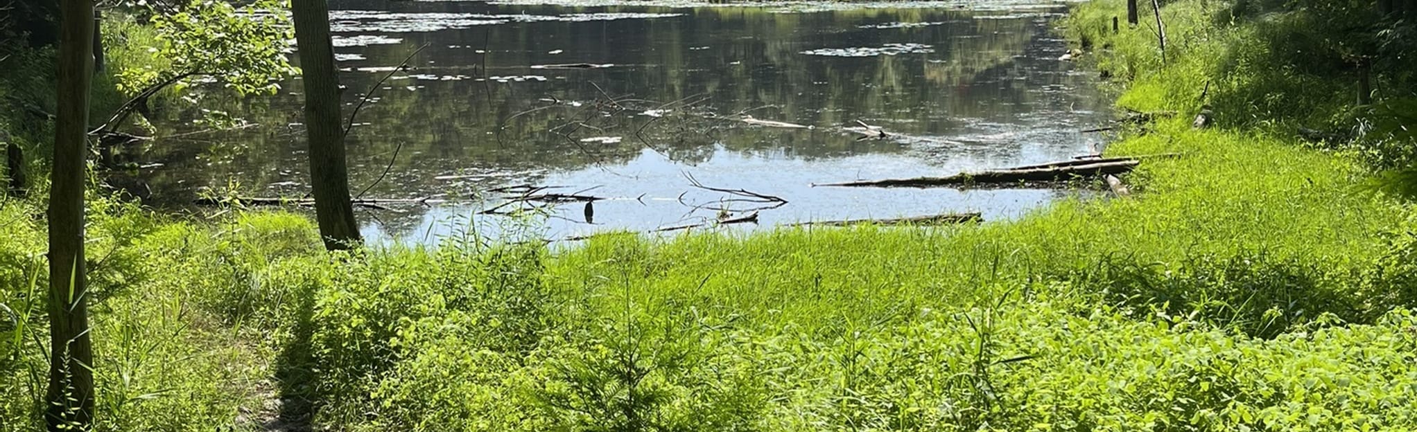 Allan Park Road Loop: 57 foto's - Ontario, Canada | AllTrails