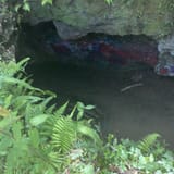 Dames Cave, Florida - 530 Reviews, Map | AllTrails