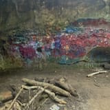 Dames Cave, Florida - 530 Reviews, Map | AllTrails