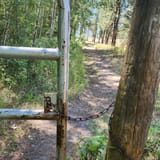 Hog Lake Loop, Washington - 225 Reviews, Map | AllTrails