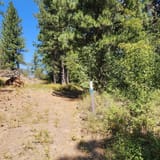 Hog Lake Loop, Washington - 264 Reviews, Map | AllTrails