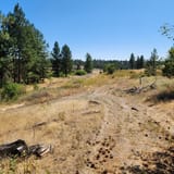 Hog Lake Loop, Washington - 264 Reviews, Map | AllTrails