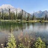 Mount Lorette Pond Trail, Alberta, Canada - 240 Reviews, Map | AllTrails