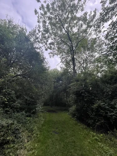 Best Hikes and Trails in Howe Wood Park | AllTrails